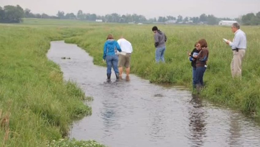 Cane Run: Water Below, Water Above | Cane Run: Water Below, Water Above