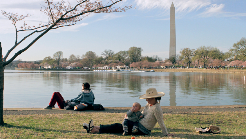 The National Mall - America's Front Yard | The National Mall - America ...
