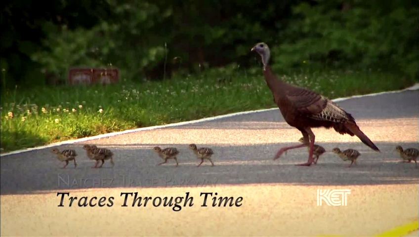 Natchez Trace Parkway: Traces Through Time | KET